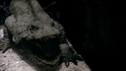 Labyrinthodont | Anomaly Research Centre | Fandom