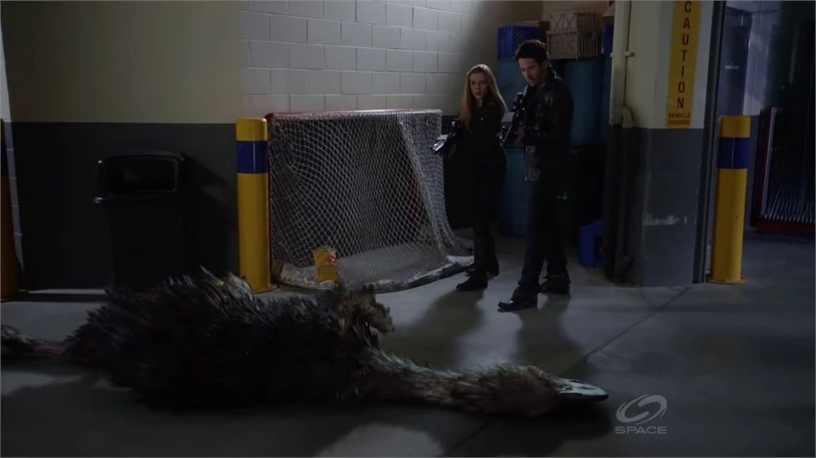 Primeval New World Terror Bird