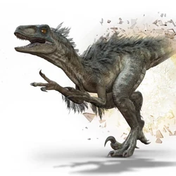 New World Creatures