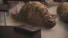 Precambrian Worm | Anomaly Research Centre | Fandom