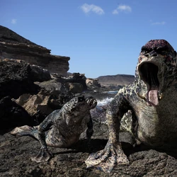 primeval future bird