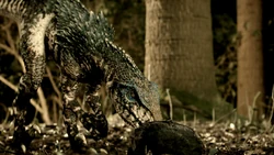 Raptor (Primeval) | Anomaly Research Centre | Fandom