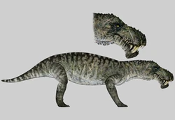 Primeval Gorgonopsid