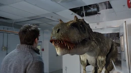 Evan Cross | Anomaly Research Centre | Fandom