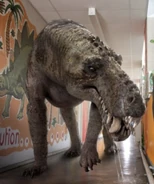 Synapsid | Anomaly Research Centre | Fandom