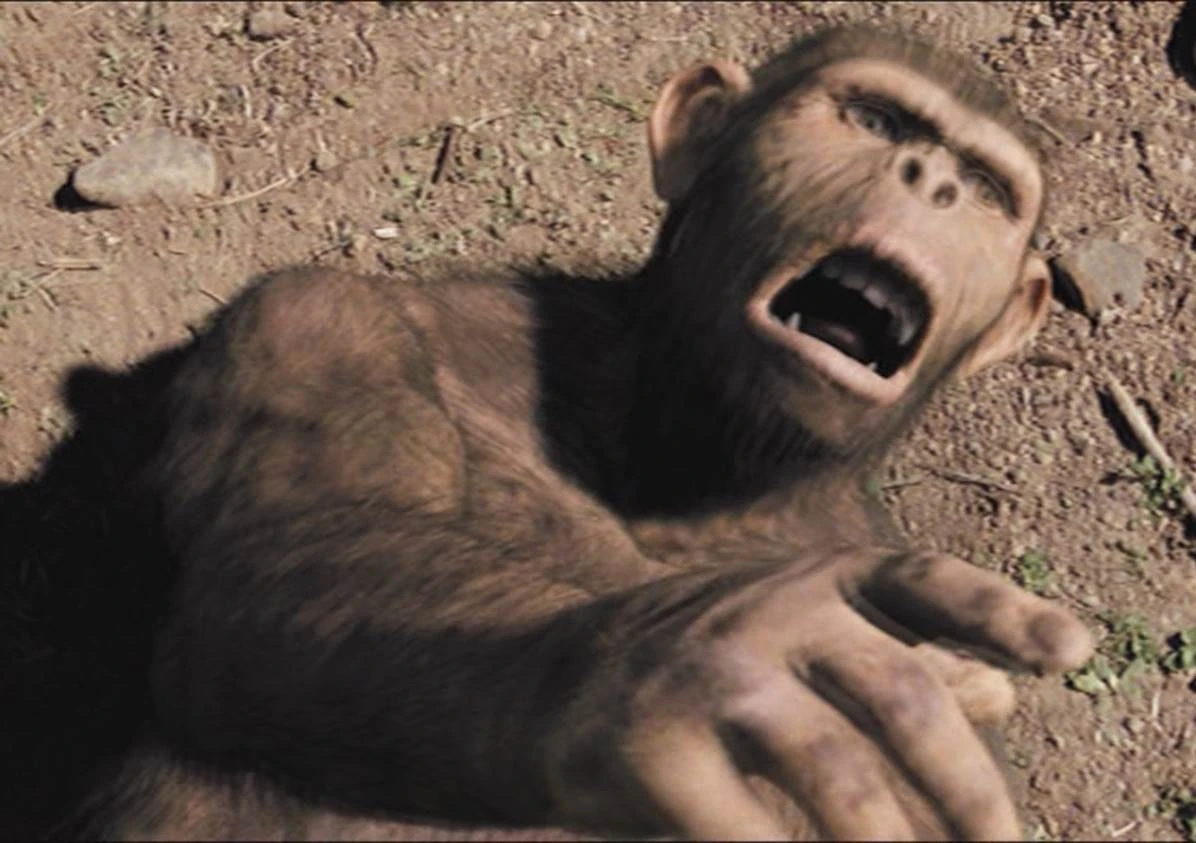 Australopithecus | Anomaly Research Centre | Fandom