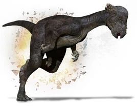 Pachycephalosaurus | Anomaly Research Centre | Fandom