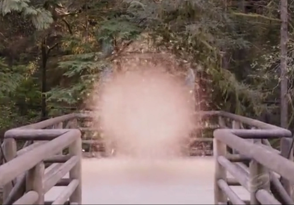 Mount Seymour Anomaly | Anomaly Research Centre | Fandom