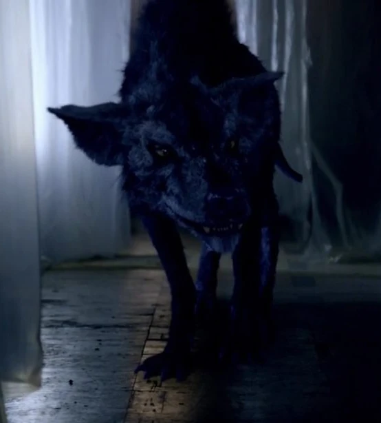 Hyaenodon | Wiki Primeval | Fandom