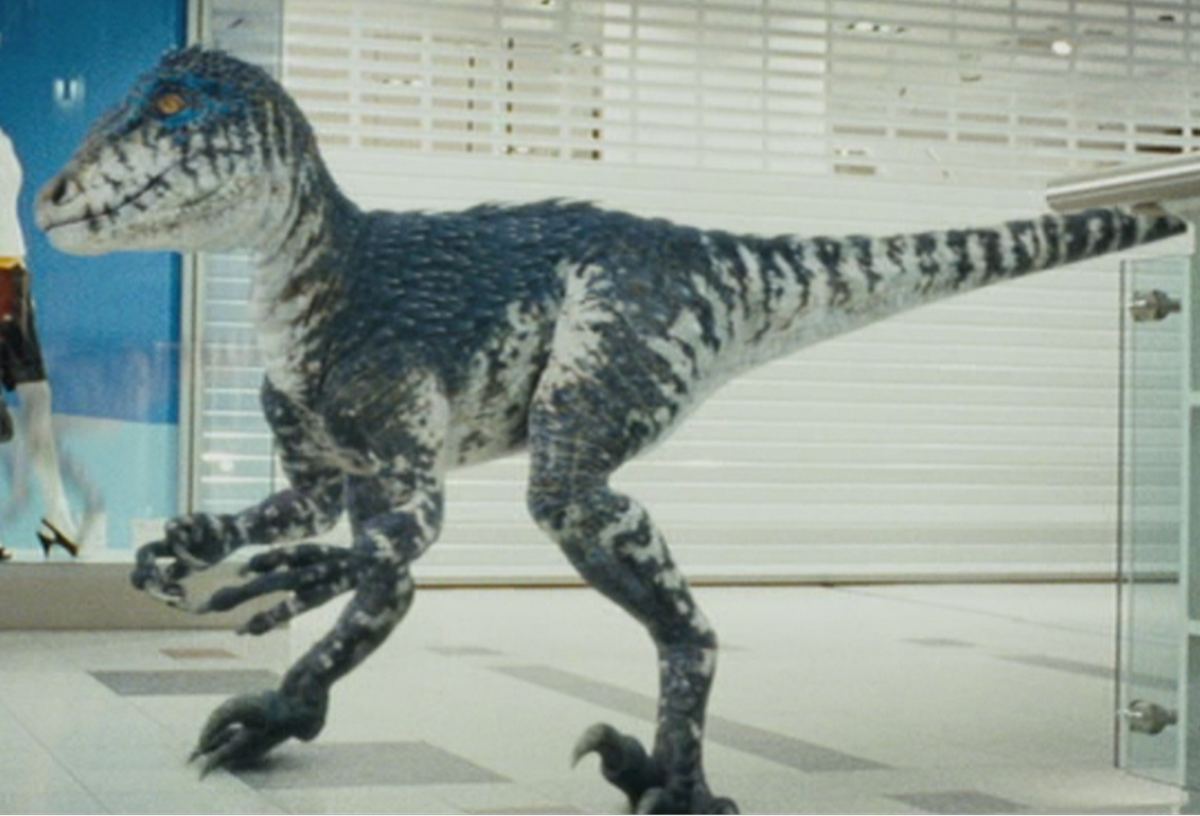 Dromaeosaur Anomaly Research Centre Fandom