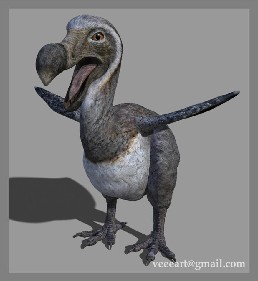 Dodo/Gallery | Anomaly Research Centre | Fandom