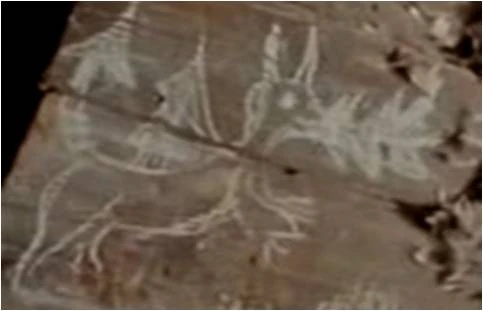 Dragon | Anomaly Research Centre | Fandom