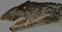 Primeval Labyrinthodont