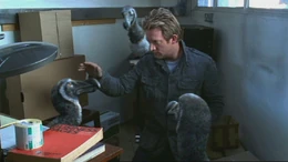 Dodo | Anomaly Research Centre | Fandom