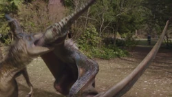 Pteranodon | Anomaly Research Centre | Fandom