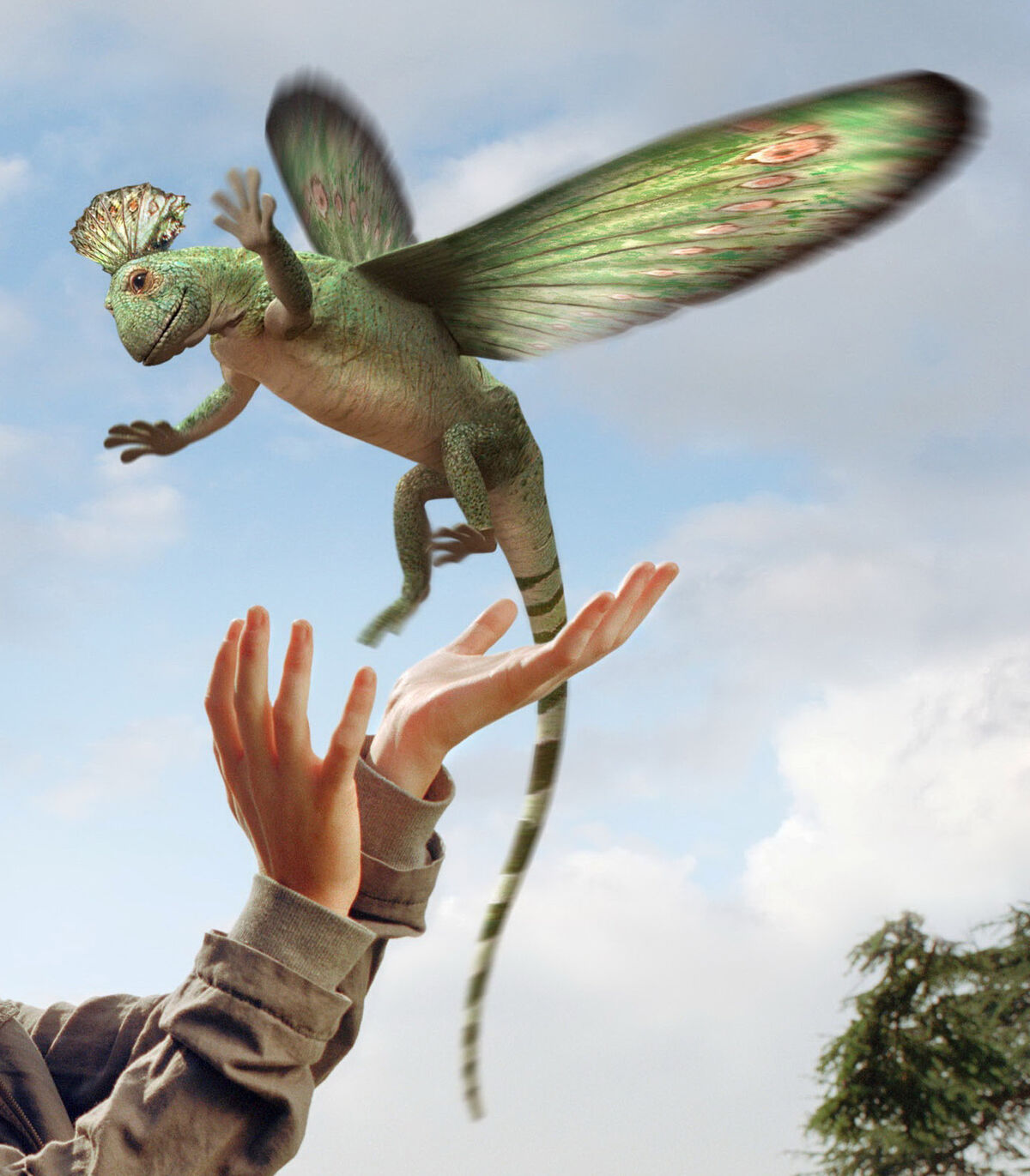 Category:Individual Creatures | Anomaly Research Centre | Fandom