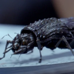 Primeval Future Beetle