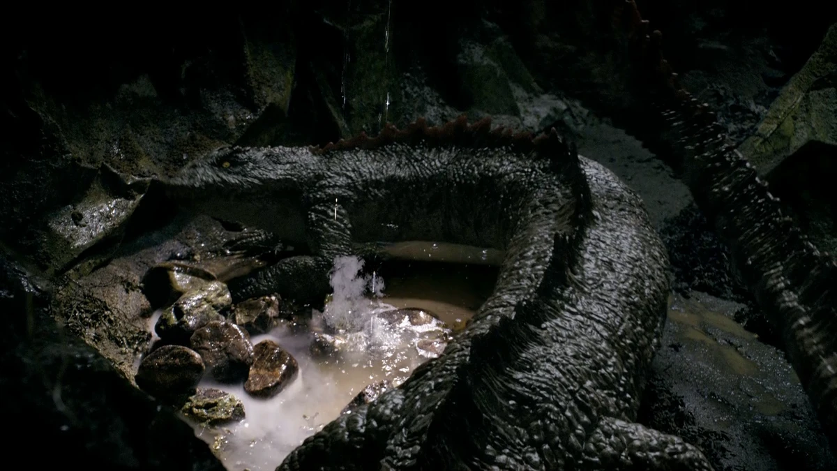 Labyrinthodontia | Wiki Primeval | Fandom