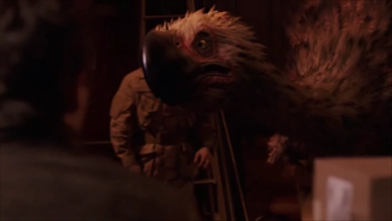 Primeval New World Terror Bird