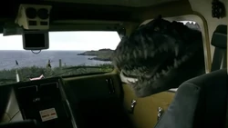 Primeval Labyrinthodont