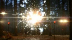 Anomaly | Primeval Wiki | Fandom