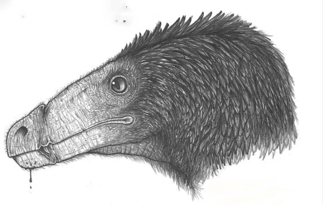 Deinonychus | Primitive War Wiki | Fandom