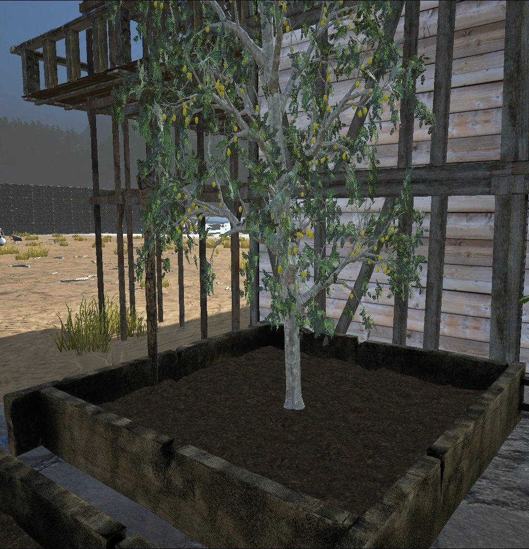 Large Tree Plot | Ark Primitive Survival Wikia | Fandom