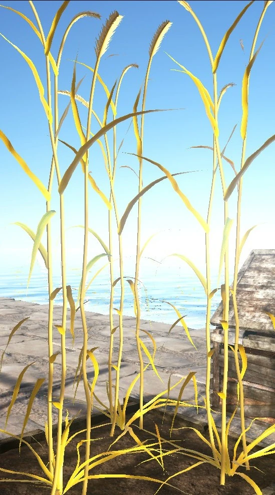 Wheat | Ark Primitive Survival Wikia | Fandom