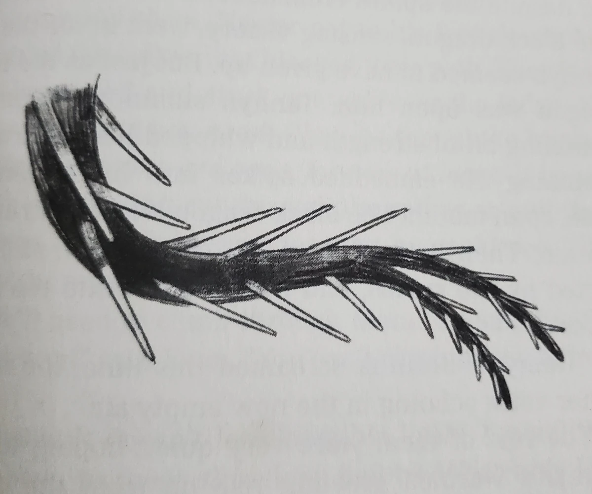 Thorns | Prince Warriors Wiki | Fandom