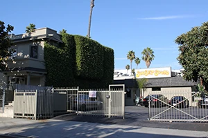 Sunset Sound | Prince Wikia | Fandom