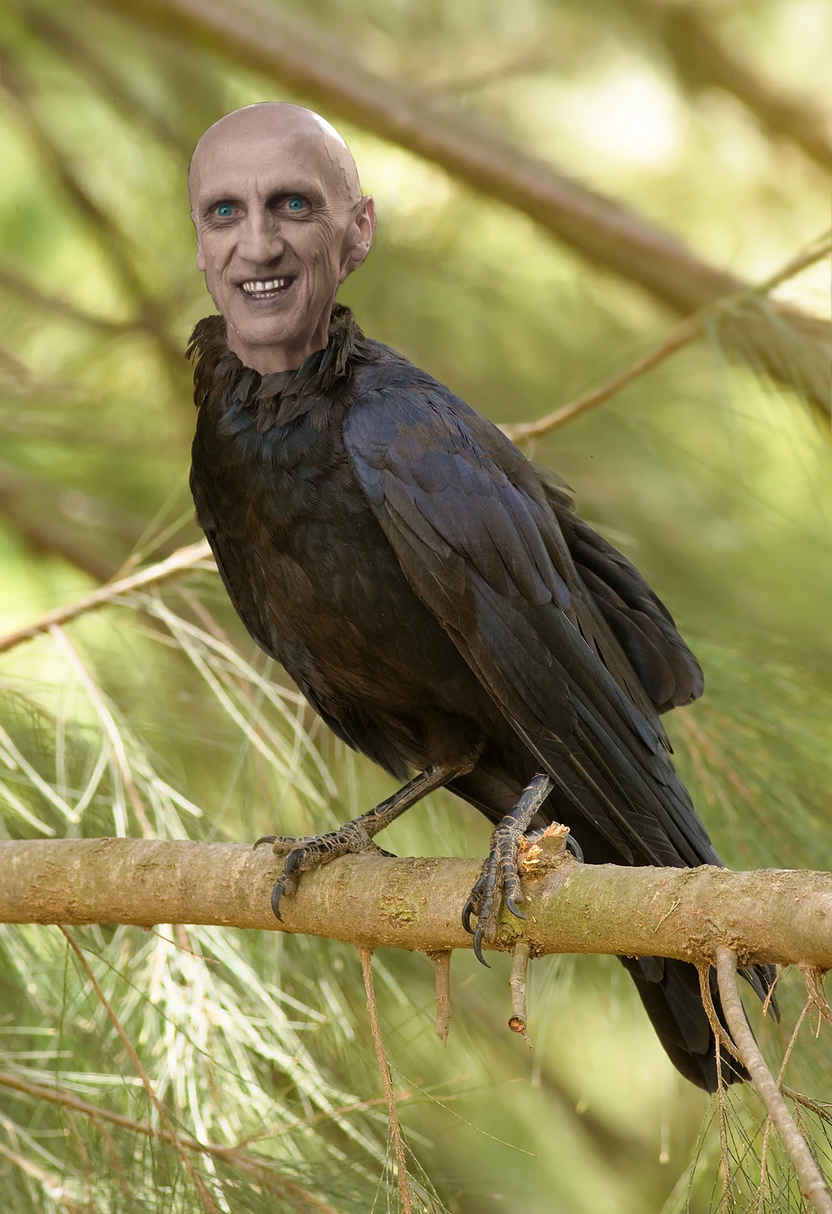 Synthese | Second Apocalypse Wiki | Fandom