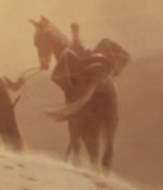 Farah (2008 Game) | Prince of Persia Wiki | Fandom