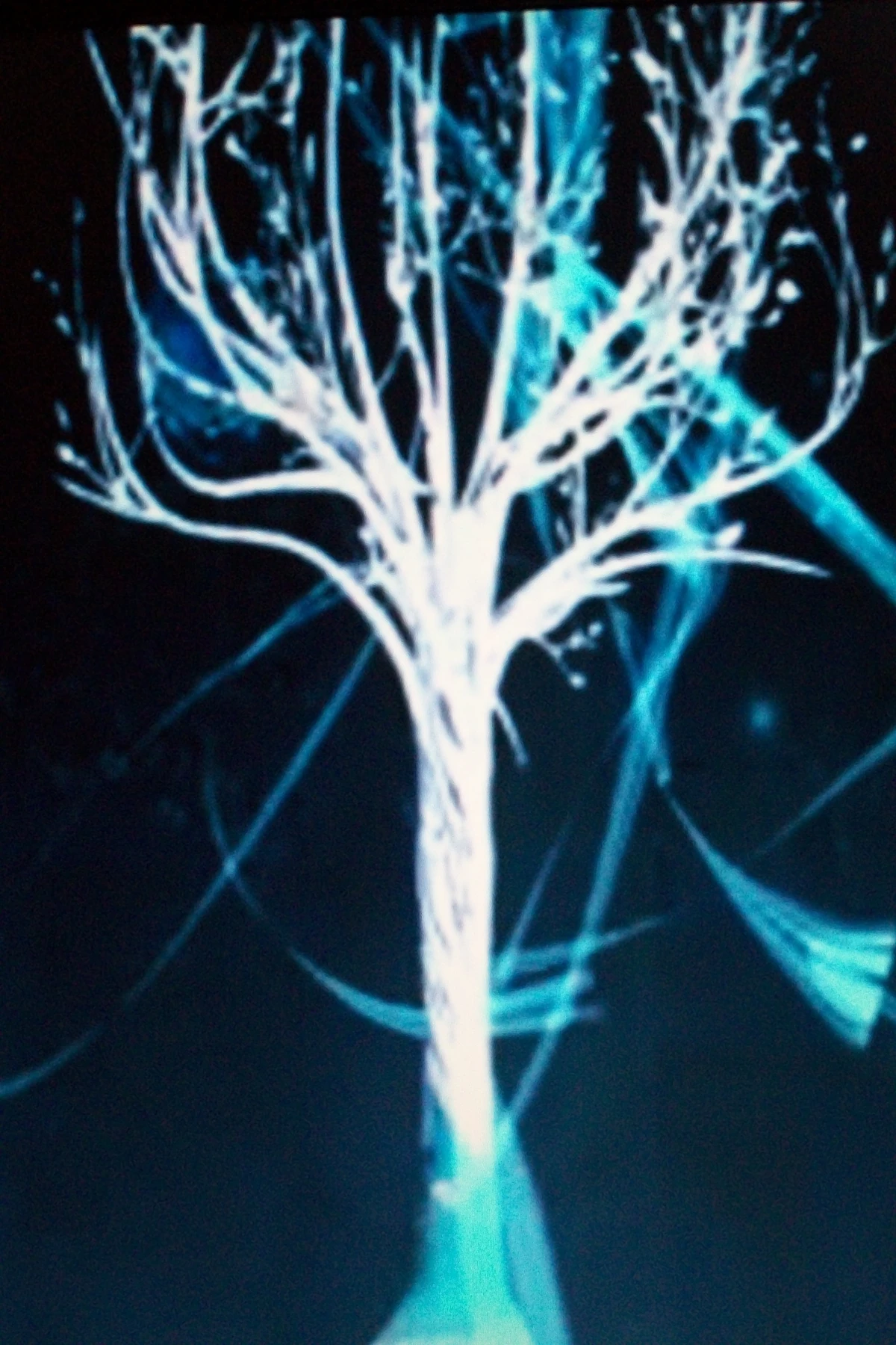 Tree of Life | Prince of Persia Wiki | Fandom