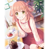 Rino/Gallery | Princess Connect Re:Dive Wiki | Fandom