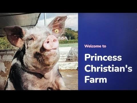 Category:ENDAGERED ANIMALS | PRINCESS CRISTAIN PEDIA Wiki | Fandom