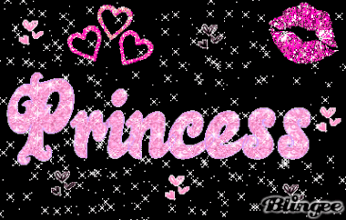 Princess SMP Wiki | Fandom