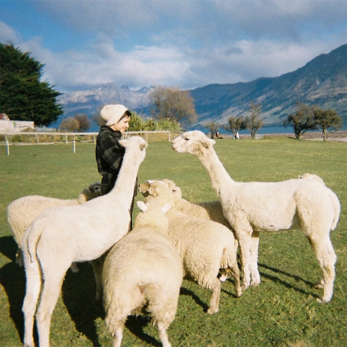 Everything Is Going To Be Alright (Song) | Princess Chelsea Wiki | Fandom