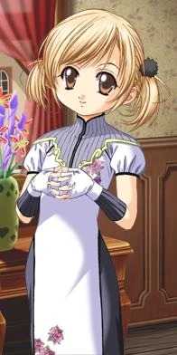 Battle Robes (PM4) | Princess Maker Wiki | Fandom