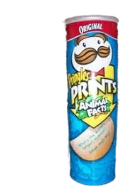 Prints Animal Facts | Pringles Wiki | Fandom