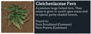 Gallimimus | Prior Extinction OFFICIAL Wiki | Fandom