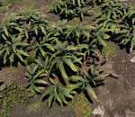 Edible Plants | Prior Extinction OFFICIAL Wiki | Fandom