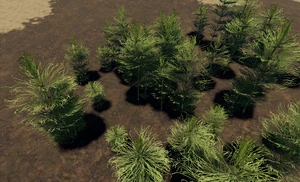 Special Plants | Prior Extinction OFFICIAL Wiki | Fandom