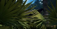 Pachycephalosaurus | Prior Extinction OFFICIAL Wiki | Fandom