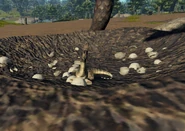 Diplodocus | Prior Extinction OFFICIAL Wiki | Fandom