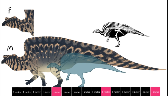 𝙲𝚊𝚗𝚌𝚎𝚕𝚕𝚎𝚍 𝙲𝚘𝚗𝚝𝚎𝚗𝚝 | Prior Extinction OFFICIAL Wiki | Fandom