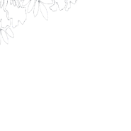 Gamepasses | Prior Extinction OFFICIAL Wiki | Fandom