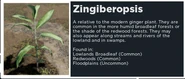 Gallimimus | Prior Extinction OFFICIAL Wiki | Fandom