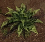 Edible Plants | Prior Extinction OFFICIAL Wiki | Fandom