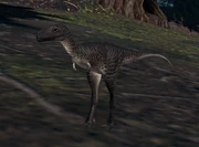 Tyrannosaurus | Prior Extinction OFFICIAL Wiki | Fandom