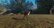 Guanlong | Prior Extinction OFFICIAL Wiki | Fandom